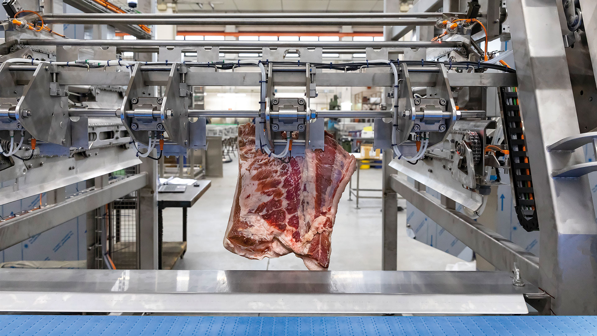 VEMAC | Meat processing lines